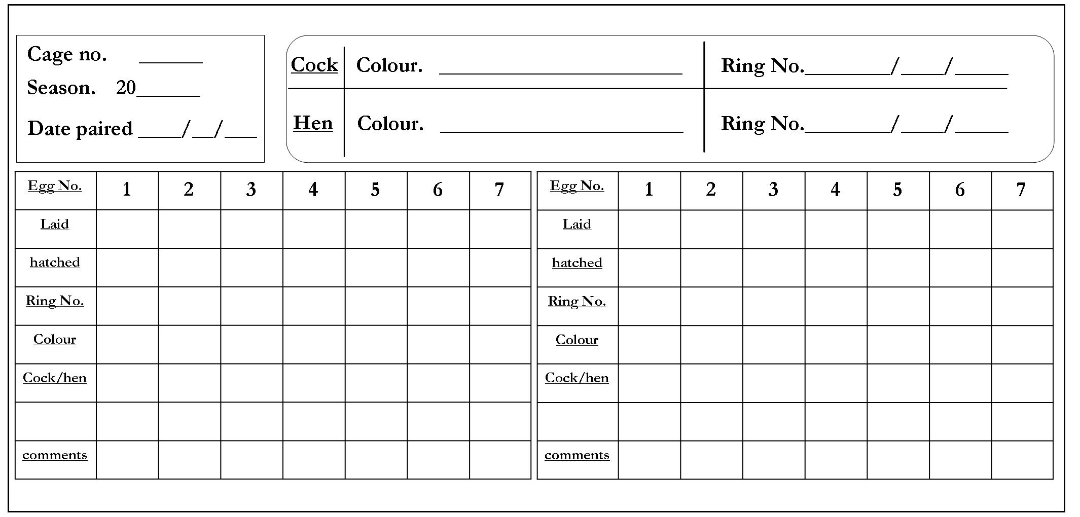 cath & paul oconnor budgie breeders wales o1111budgies